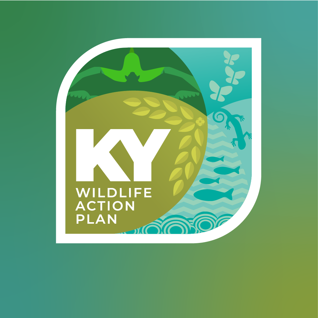Snakes - Kentucky Department of Fish & Wildlife