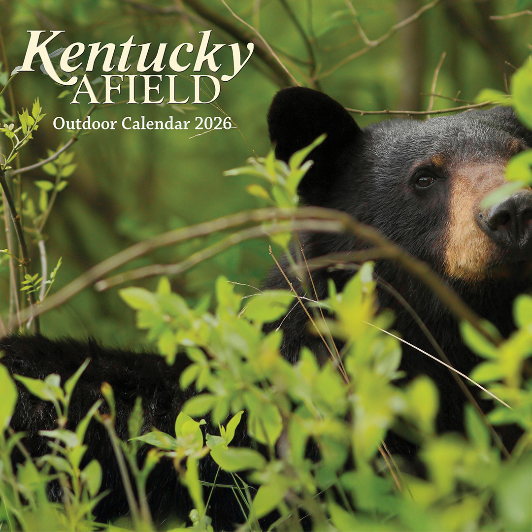Kentucky Afield - Kentucky Department of Fish & Wildlife