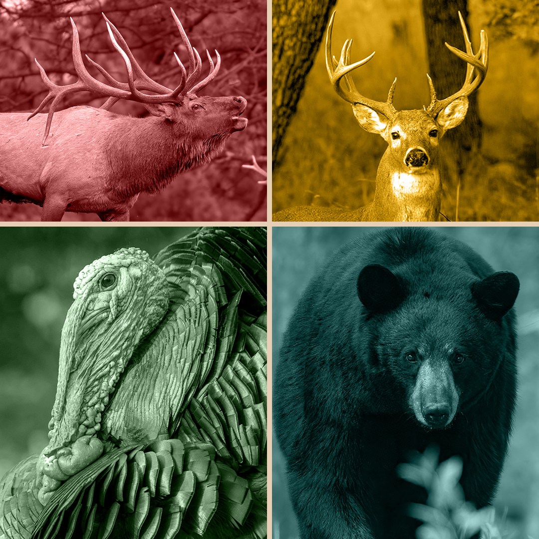 Welcome - Kentucky Department of Fish & Wildlife