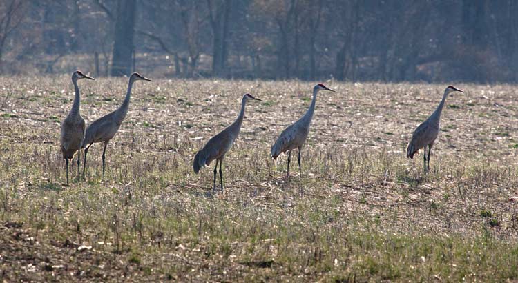 Kentucky Department of Fish & Wildlife Welcome