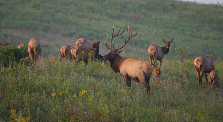 Kentucky Department of Fish & Wildlife Welcome