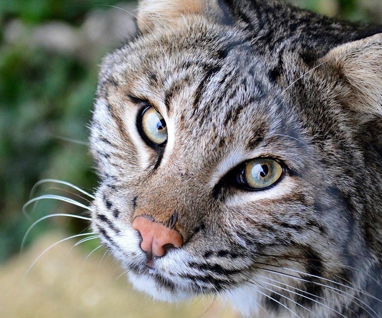 Salato Wildlife Education Center - Kentucky Department of Fish & Wildlife