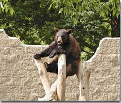 Kentucky Department of Fish & Wildlife Salato Wildlife Education Center