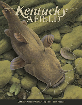 Kentucky Department of Fish & Wildlife Magazine